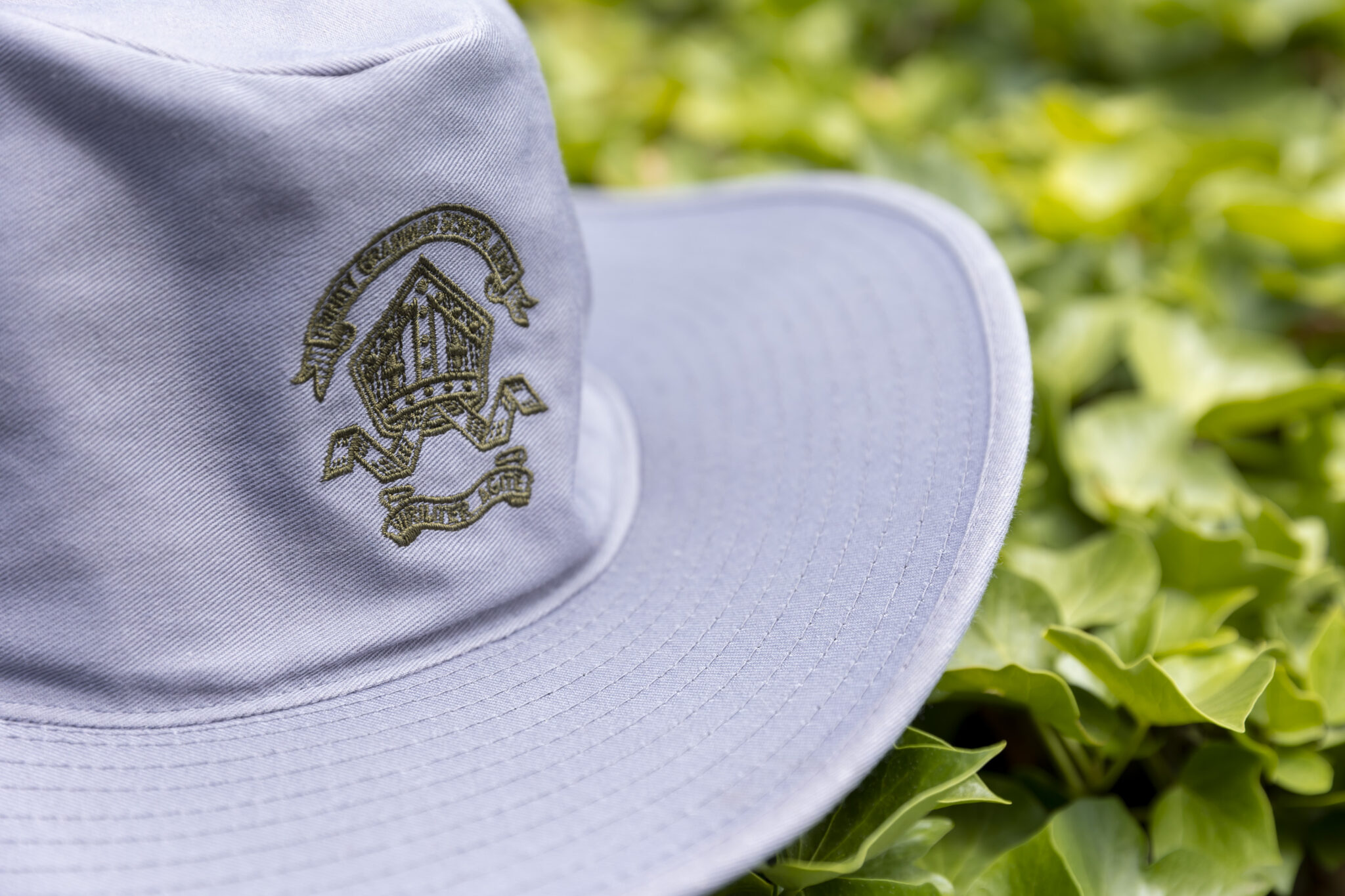 Governance - Trinity Grammar School